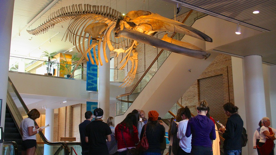Denver Museum of Nature and Science in Denver, Colorado | Expedia
