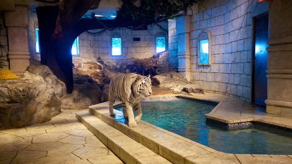 Downtown Aquarium in Houston, Texas | Expedia Downtown Aquarium in Houston, Texas | Expedia