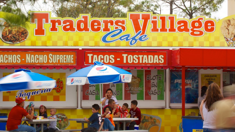 Traders Village Logo