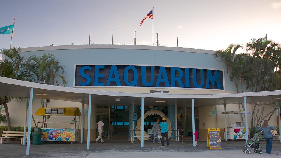 Miami Seaquarium Website