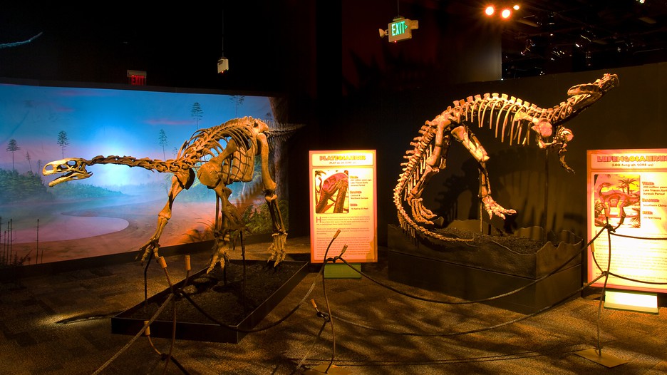 Arizona Science Center in Phoenix, Arizona | Expedia