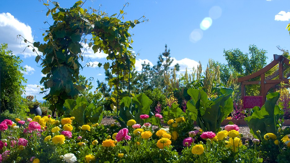 Red Butte Garden and Arboretum in Salt Lake City, Utah | Expedia