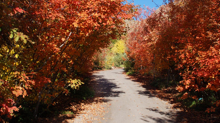 Red Butte Garden and Arboretum in Salt Lake City, Utah | Expedia