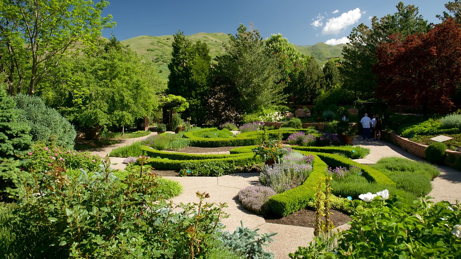 Red Butte Garden and Arboretum in Salt Lake City, Utah | Expedia