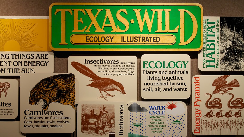 Witte Museum in San Antonio, Texas | Expedia