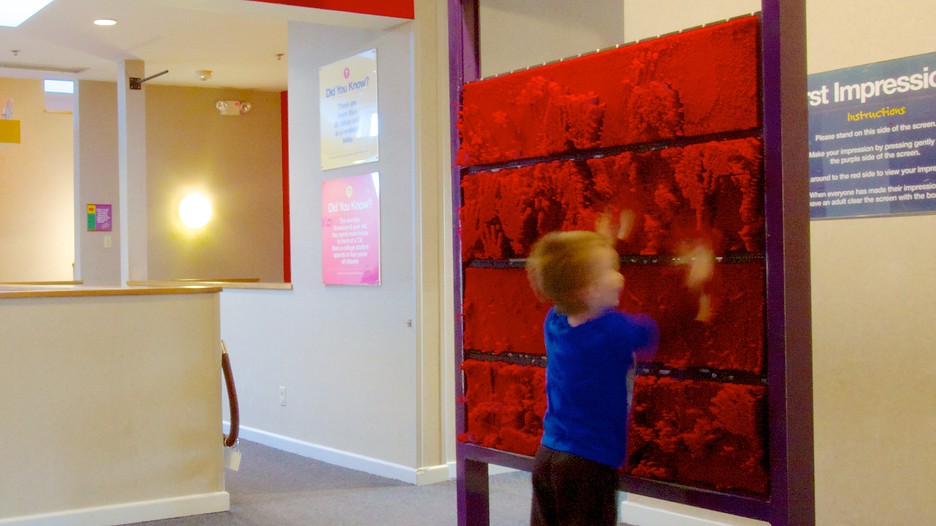 Magic House - St. Louis Children's Museum in St. Louis, Missouri | Expedia