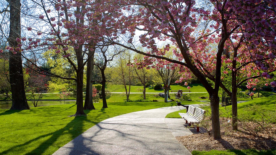 Missouri Botanical Gardens and Arboretum in St. Louis, Missouri | Expedia