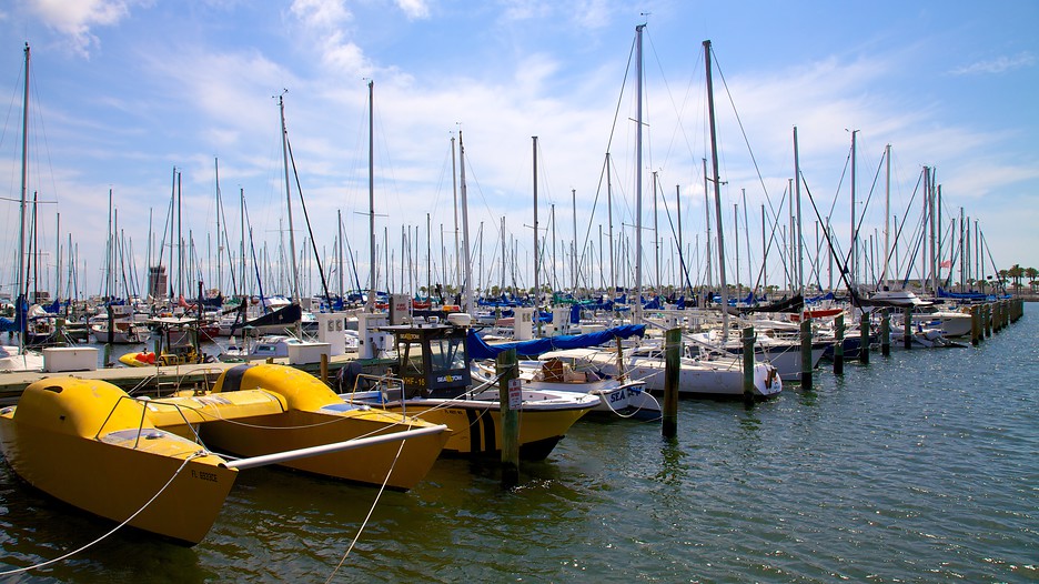 Demens Landing Park in St. Petersburg, Florida | Expedia