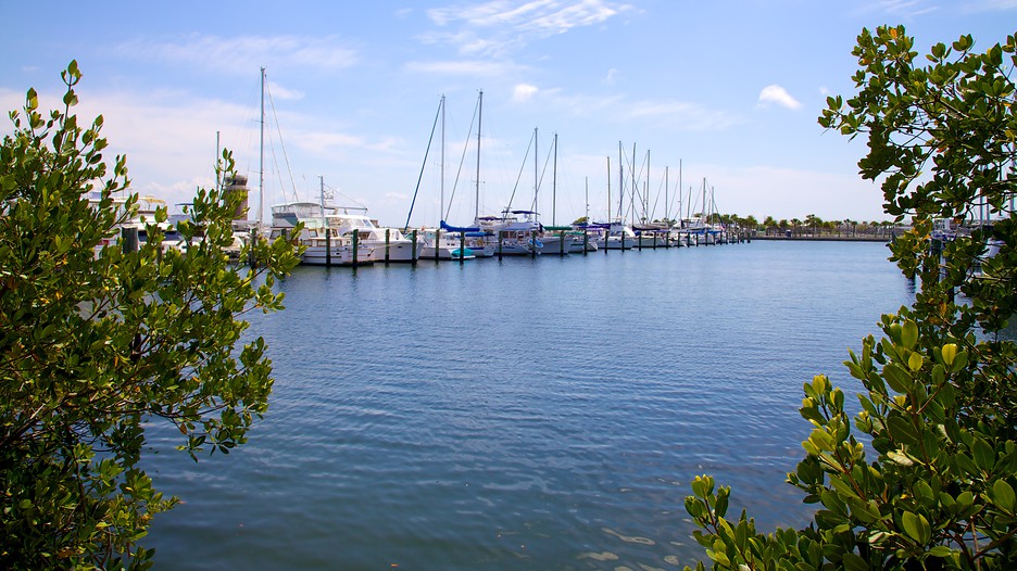 Demens Landing Park in St. Petersburg, Florida | Expedia