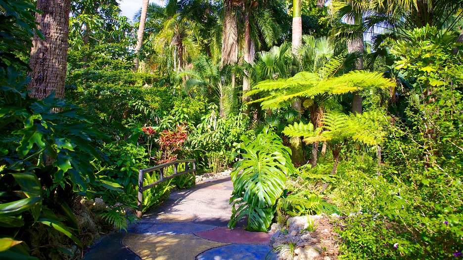 Sunken Gardens in St. Petersburg, Florida | Expedia