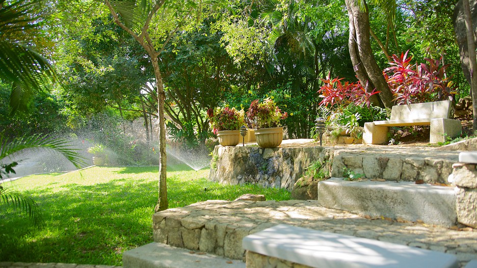 Botanical Gardens of Acapulco in Acapulco, Guerrero | Expedia.ca