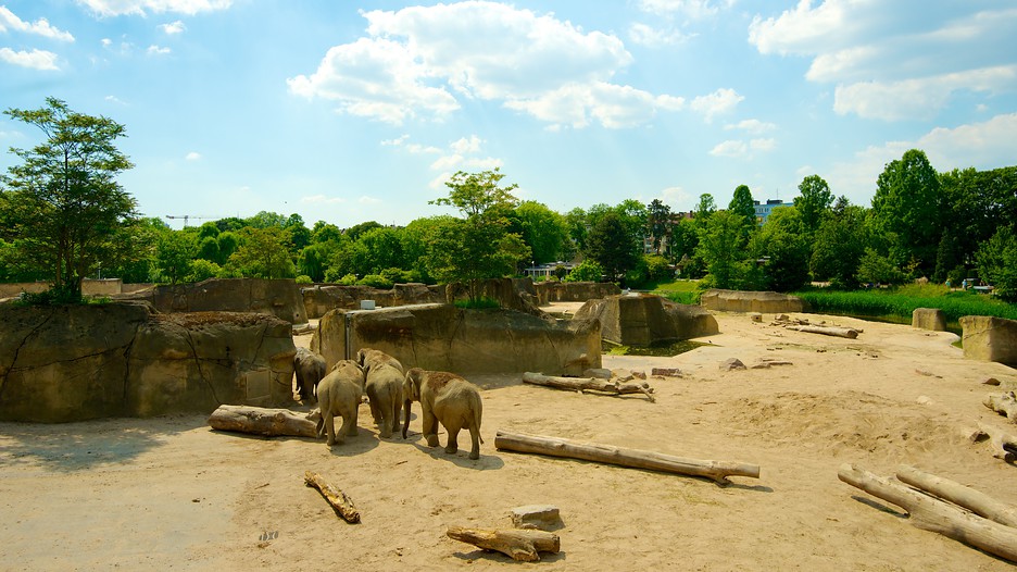 Städtereisen Köln - Reisen & Kurzurlaub bei Expedia.de