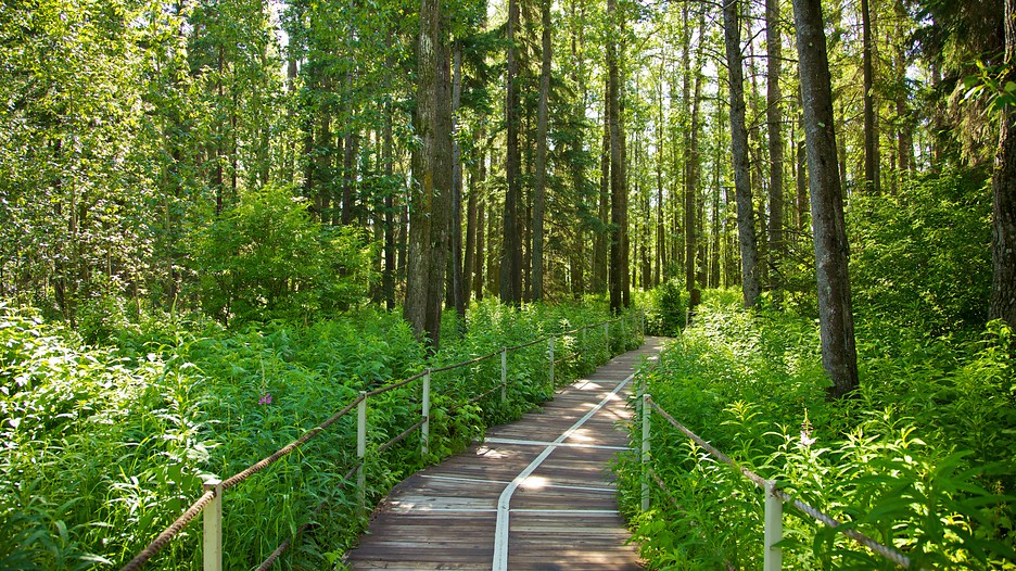 Jurassic Forest in Edmonton - Expedia.de
