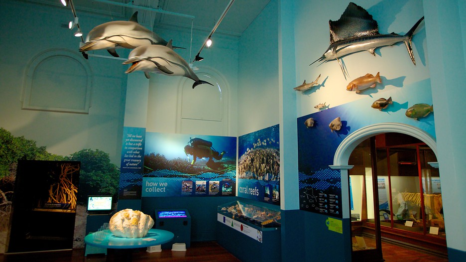 Western Australian Museum - Perth, Western Australia Attraction ...