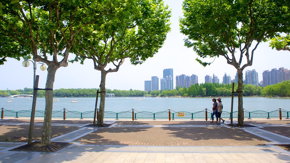 Century Park in Shanghai, | Expedia