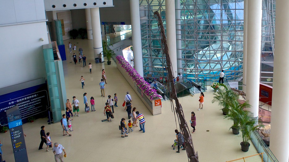 Shanghai Science and Technology Museum in Shanghai, | Expedia