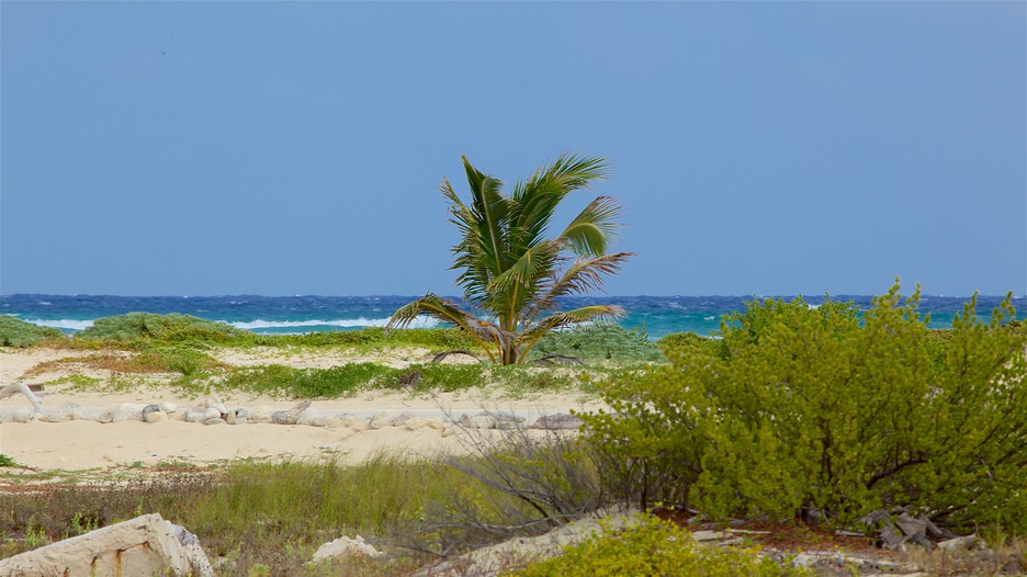 Parque ecológico Punta Sur en Cozumel, México | Expedia.com