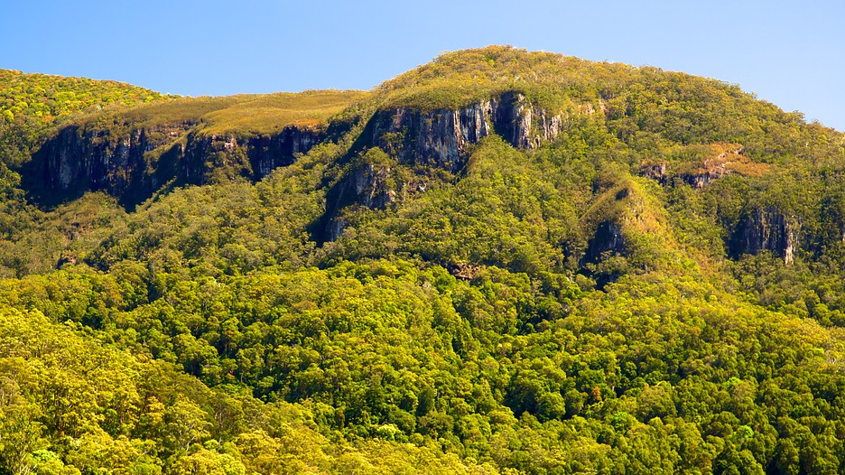 Springbrook National Park-Gold Coast | Expedia.nl