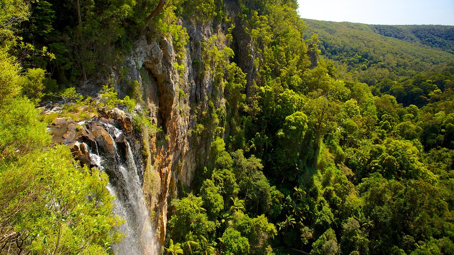 Springbrook National Park-Gold Coast | Expedia.nl