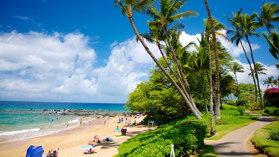 Wailea Beach in Wailea, Hawaii | Expedia.ca
