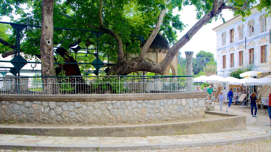 Tree of Hippocrates in Kos, | Expedia