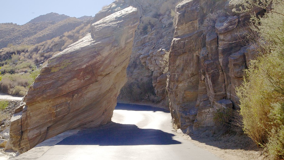 Indian Canyon : Découvrez Palm Springs avec Expedia.fr