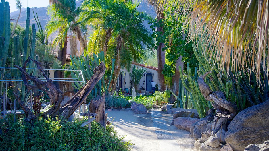 Moorten Botanical Garden and Cactarium in Palm Springs, California ...