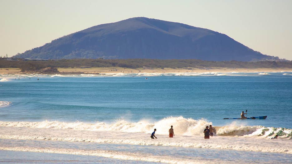 Alex Fernandez Miami Beach