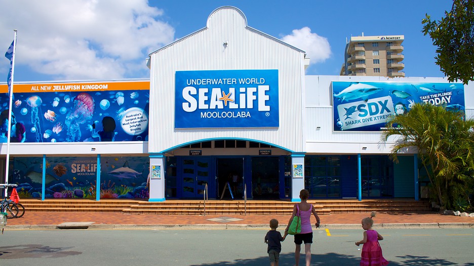 Underwater World Sea Life - Mooloolaba, Queensland Attraction | Expedia ...