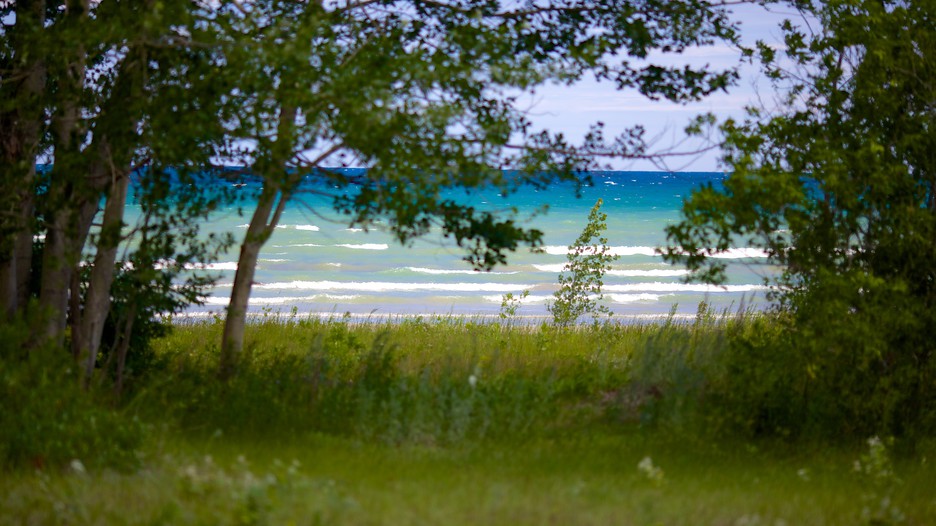 Wasaga Beach Provincial Park in Wasaga Beach, Ontario | Expedia.ca