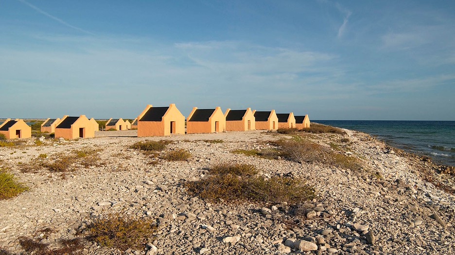 The Best Bonaire Vacation Packages 2017: Save Up to $C590 on our Deals ...