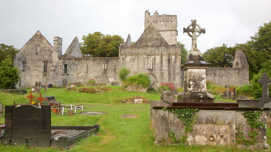 Muckross Abbey: Información de Muckross Abbey en Killarney, Irlanda ...