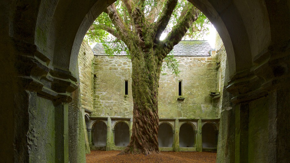 Muckross Abbey in Killarney, | Expedia