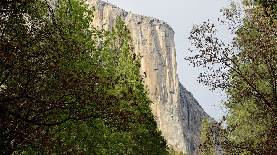 El Capitan in Yosemite National Park, California | Expedia