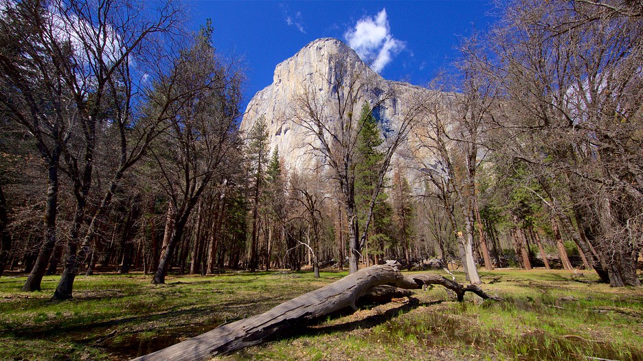 Tunnel View in Yosemite National Park, California | Expedia