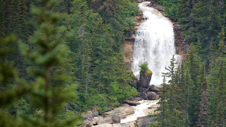 Alaska Vacations 2017: Explore Cheap Vacation Packages | Expedia