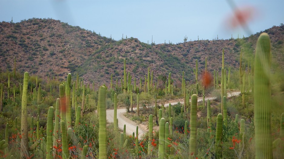 Arizona Vacations 2017: Explore Cheap Vacation Packages | Expedia