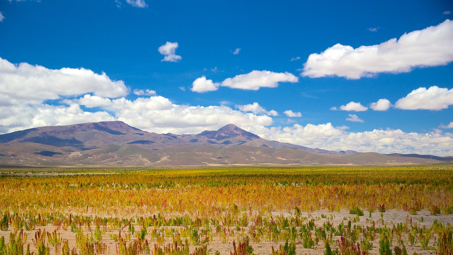 Bolivia Vacations 2017: Explore Cheap Vacation Packages | Expedia