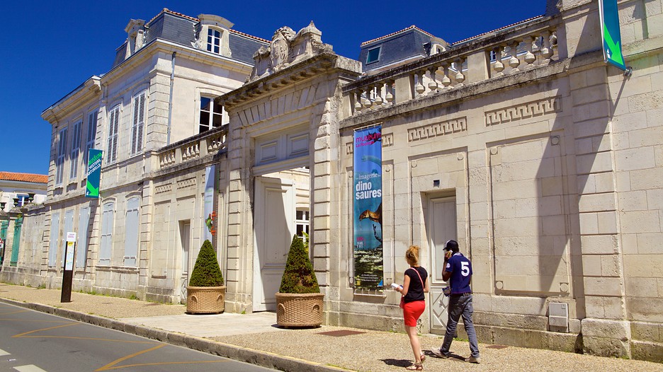 Muséum d’Histoire Naturelle in La Rochelle - Expedia.de