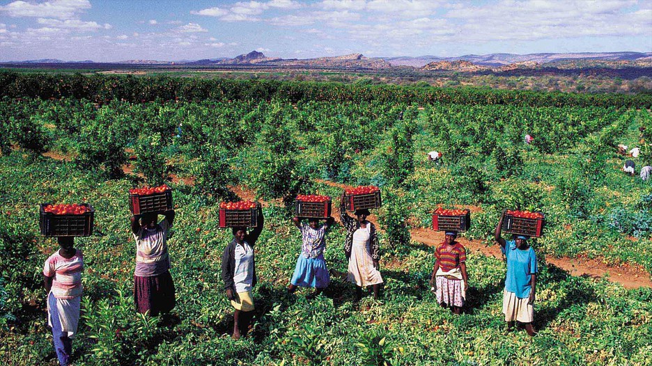 Musina Holidays - Book Cheap Holidays to Musina and Musina City Breaks