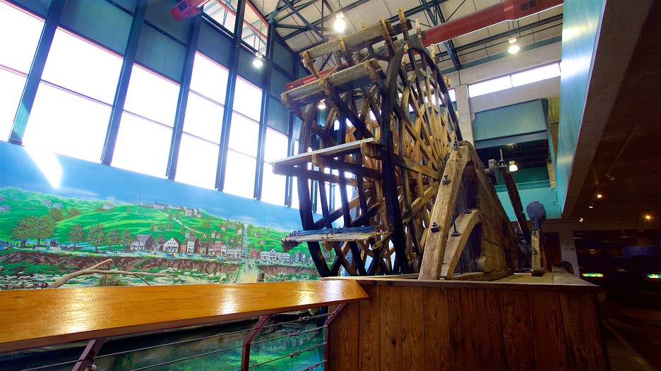 Arabia Steamboat Museum in Kansas City, Missouri | Expedia