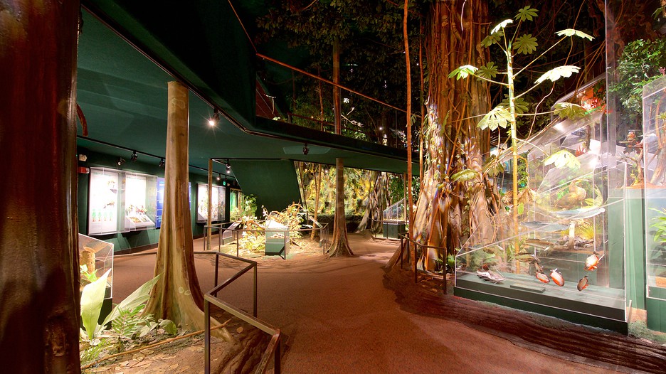 Milwaukee Public Museum in Milwaukee, Wisconsin | Expedia