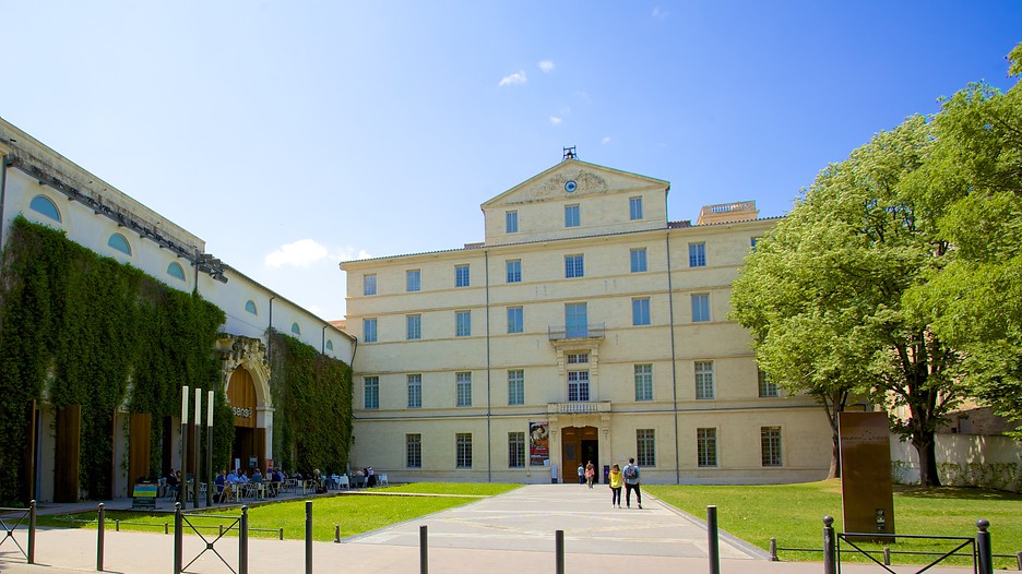 Musee Fabre in Montpellier - Expedia.de