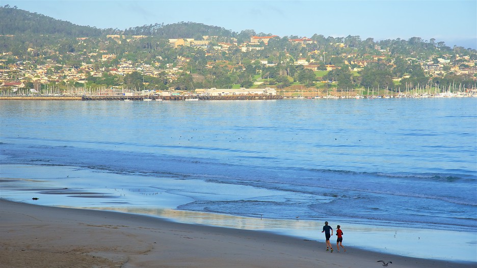 Del Monte Beach in Monterey, California | Expedia