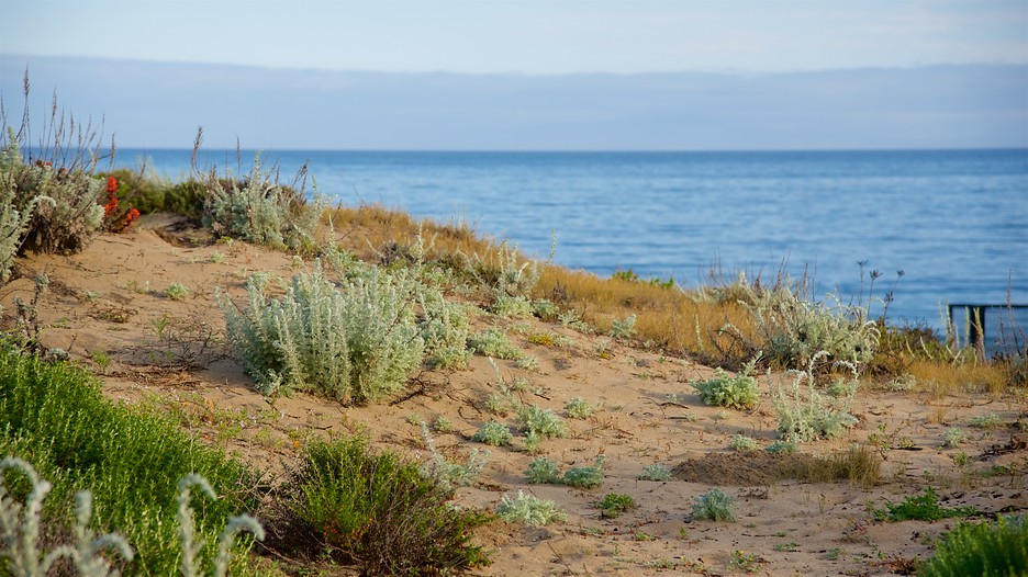 Del Monte Beach in Monterey, California | Expedia