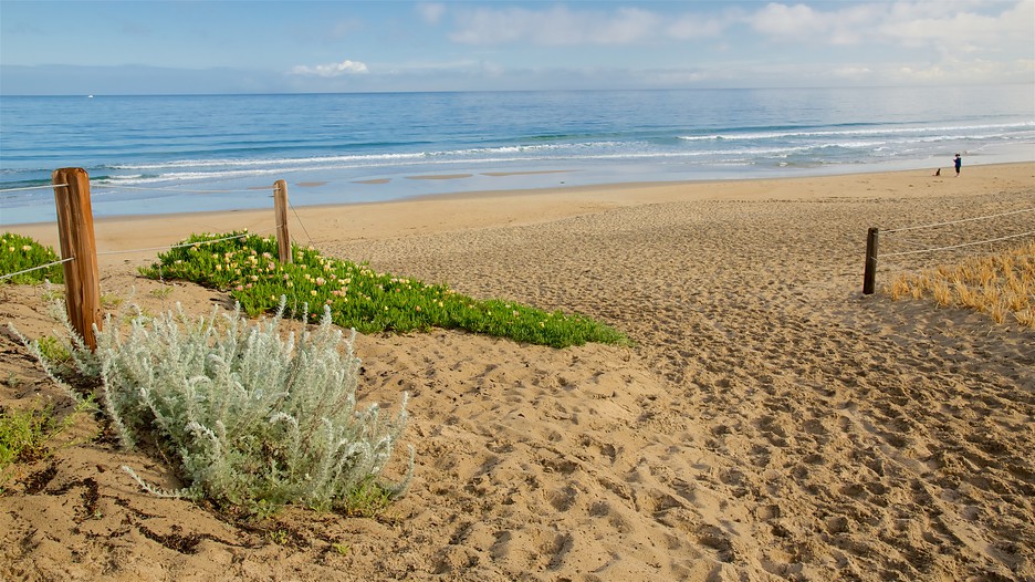 Del Monte Beach in Monterey, California | Expedia