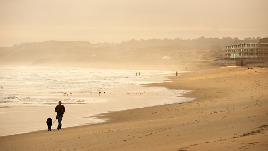 Del Monte Beach in Monterey, California | Expedia