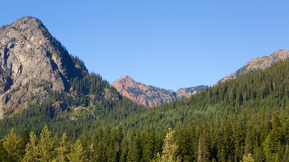 Washington Vacations 2017: Explore Cheap Vacation Packages | Expedia