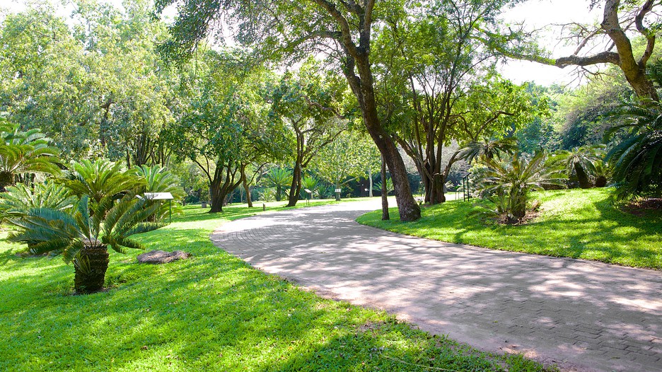 Lowveld National Botanical Garden - Nelspruit, Mpumalanga Attraction ...