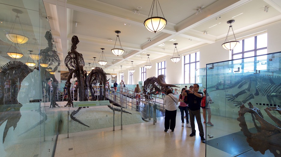 American Museum of Natural History in New York, New York | Expedia